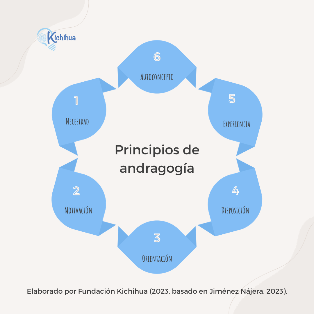 Principios de andragogía - Kichihua